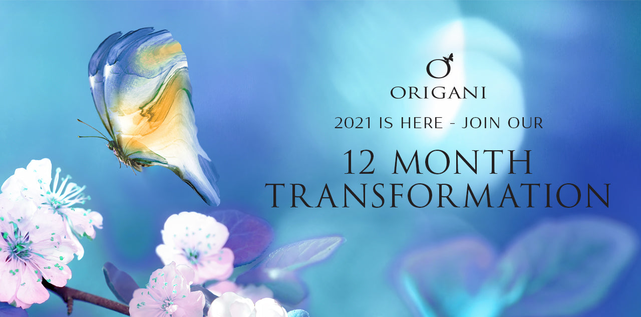 Welcome To The Origani 12 Month Transformation | Origani – Origani ...