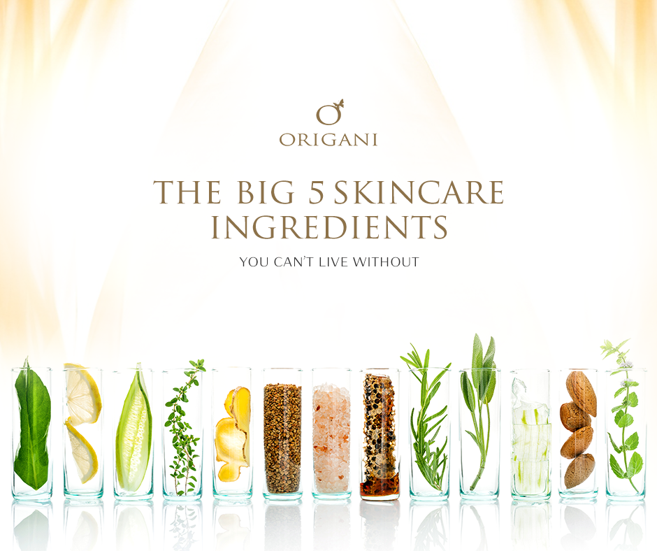 The 5 Super Power Ingredients You Want to Find in Your Skincare ...